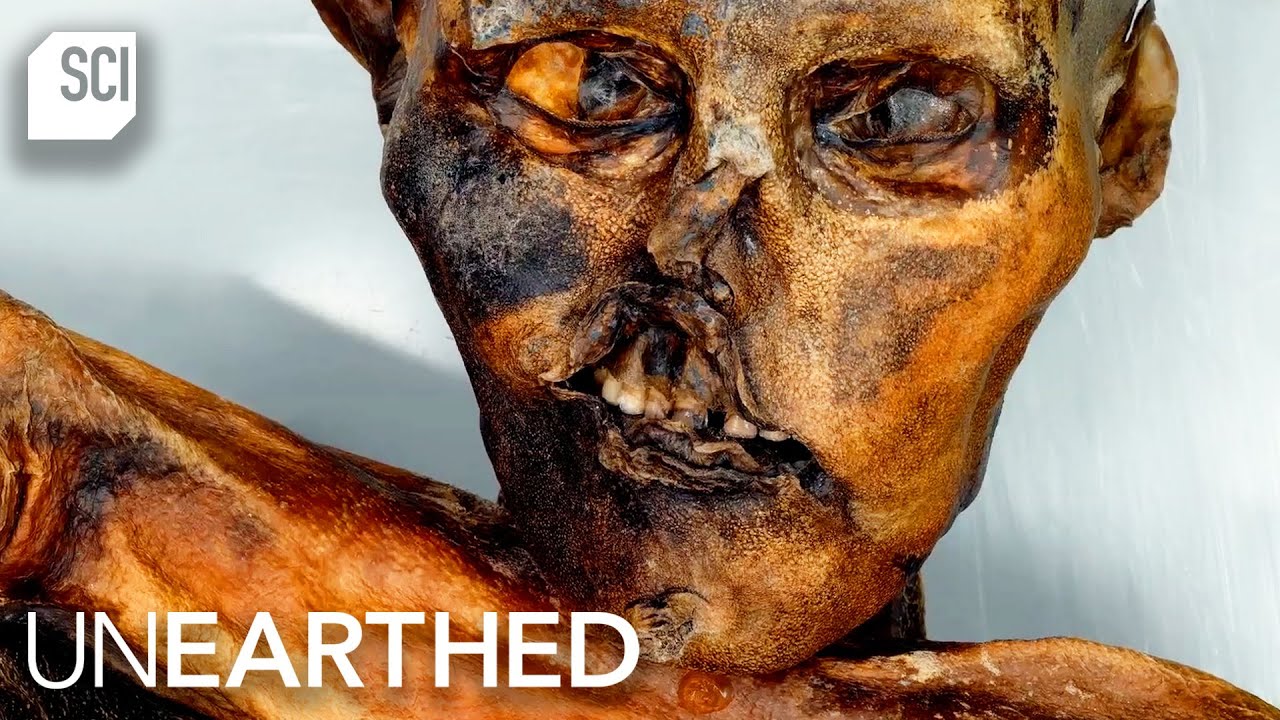 Who Is the Most Well-Preserved Human Body Ever Found? - Collectorhow.blog