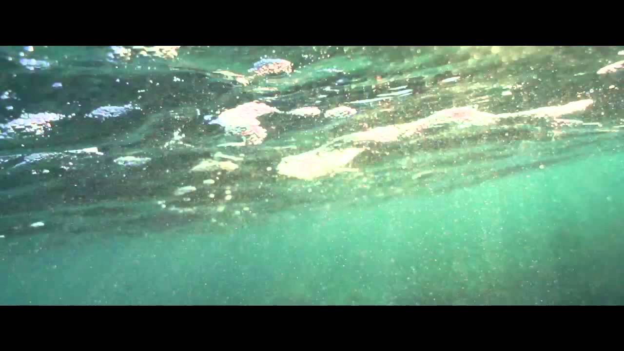 BØRNS - 10000 Emerald Pools - YouTube