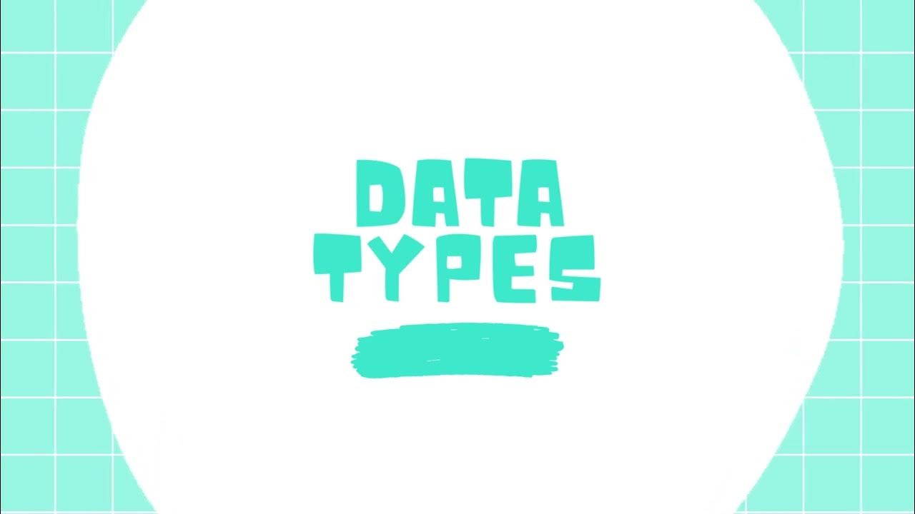 Python Basics - Data Types - YouTube