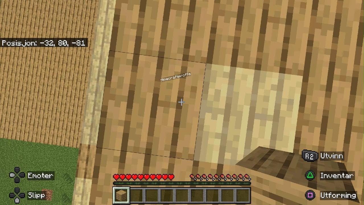 Minecraft kill v - YouTube