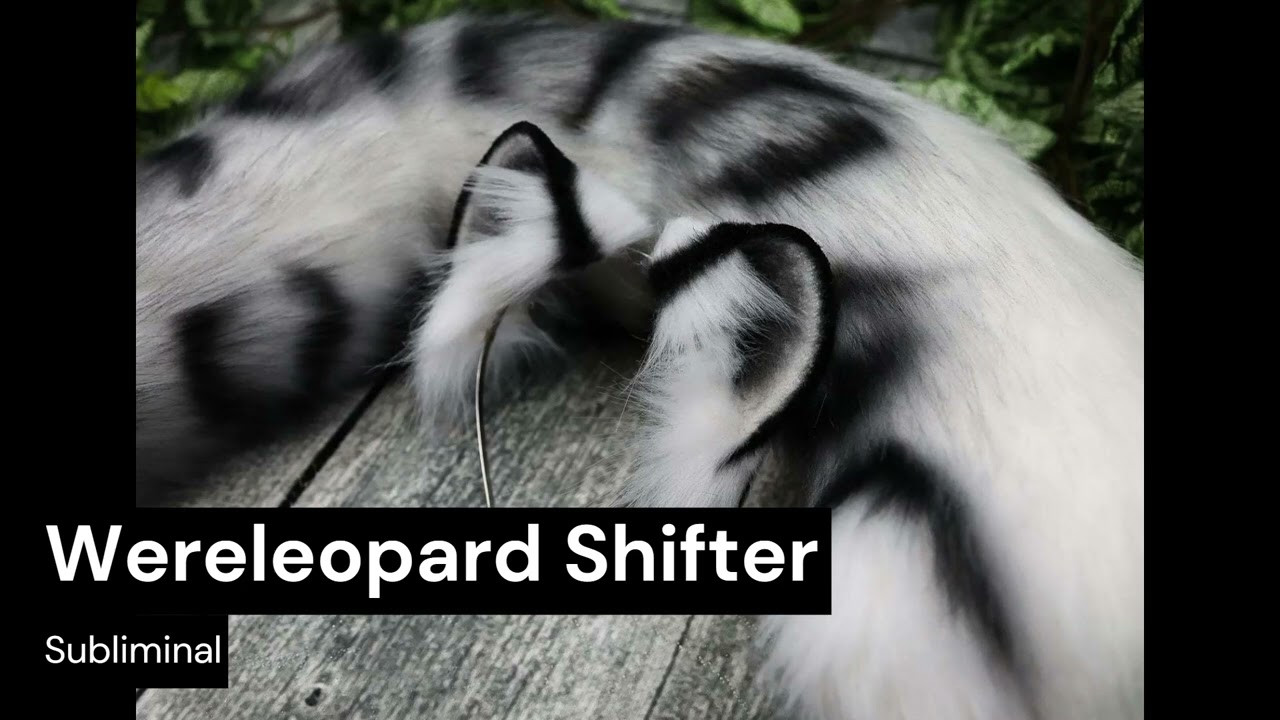 Wereleopard Shifter - ~Subliminal~ - YouTube