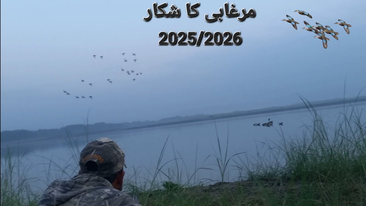 Duck Hunting in Pakistan 2022 | Waterfowl Hunting | Murghabi ka shikar ...