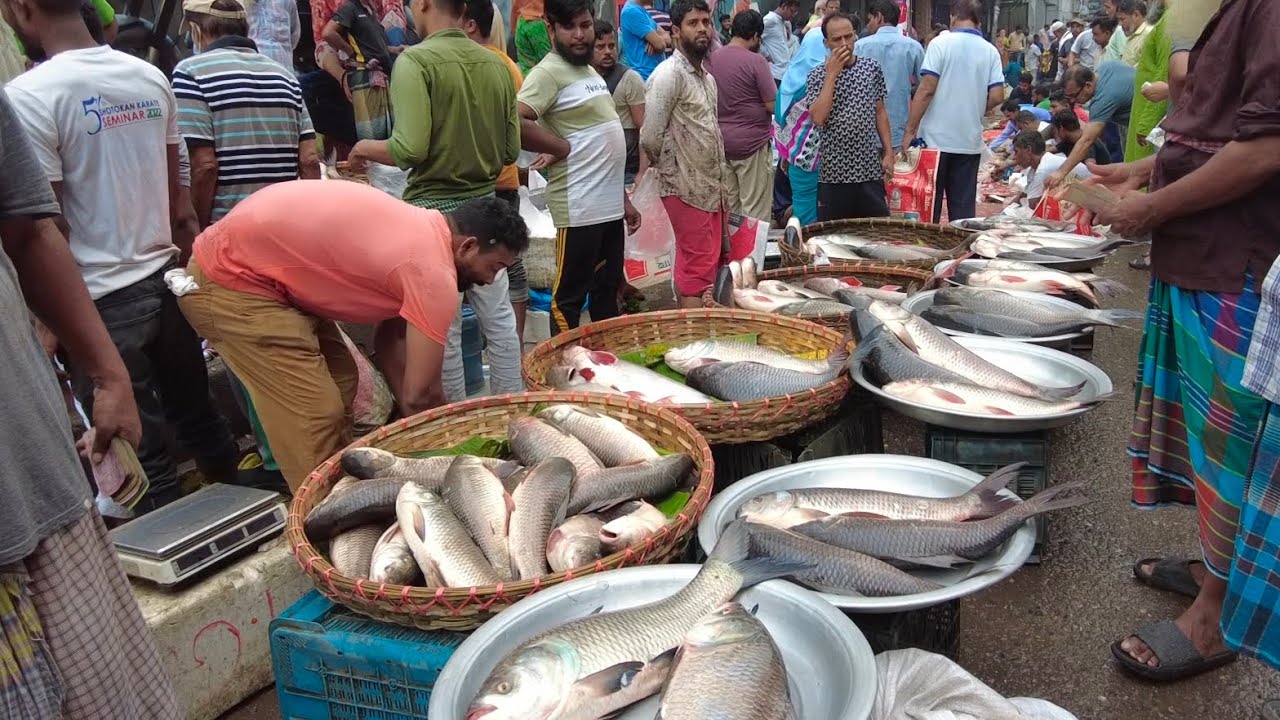 amazing big fish market in Dhaka - YouTube