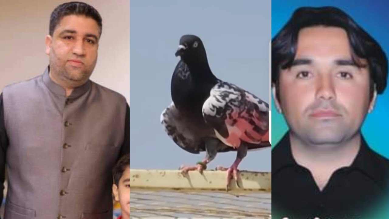 Ustad Mian Ahsan Rashid Puri' shagrad Ustad Asghar Khan ki chat se ...