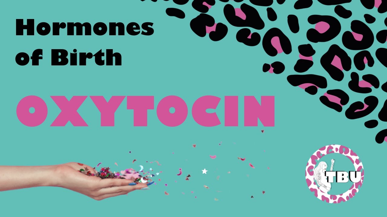 Oxytocin (The Hormones of Birth series) - YouTube