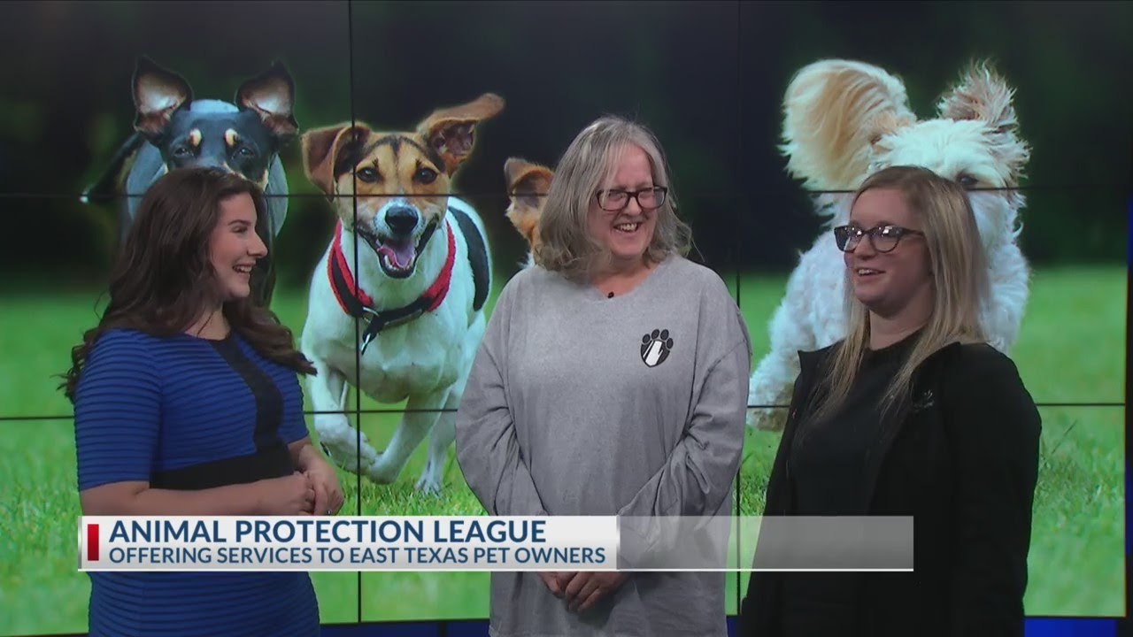 Animal Protection League offering services to East Texas pet owners ...