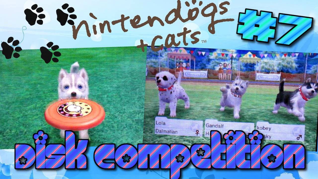 Nintendogs + Cats: Walkies and competitions! (#7) - YouTube