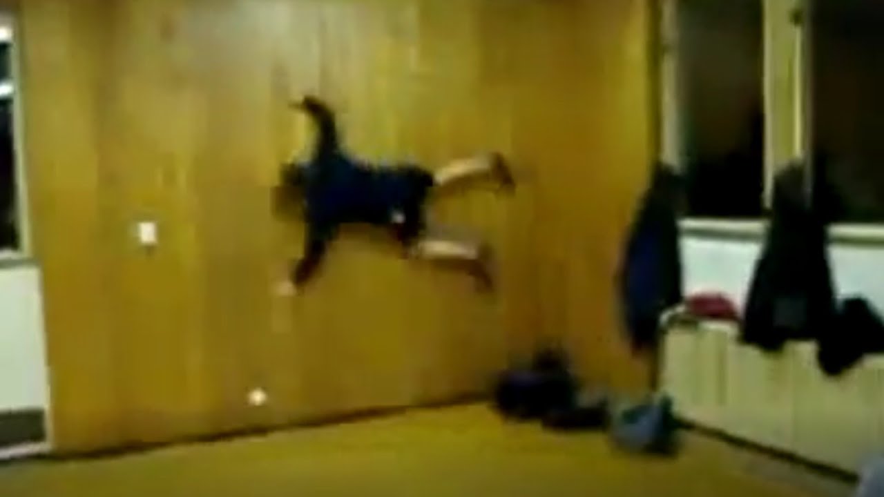 Kid runs into a wall (Fortnite meme😂) - YouTube