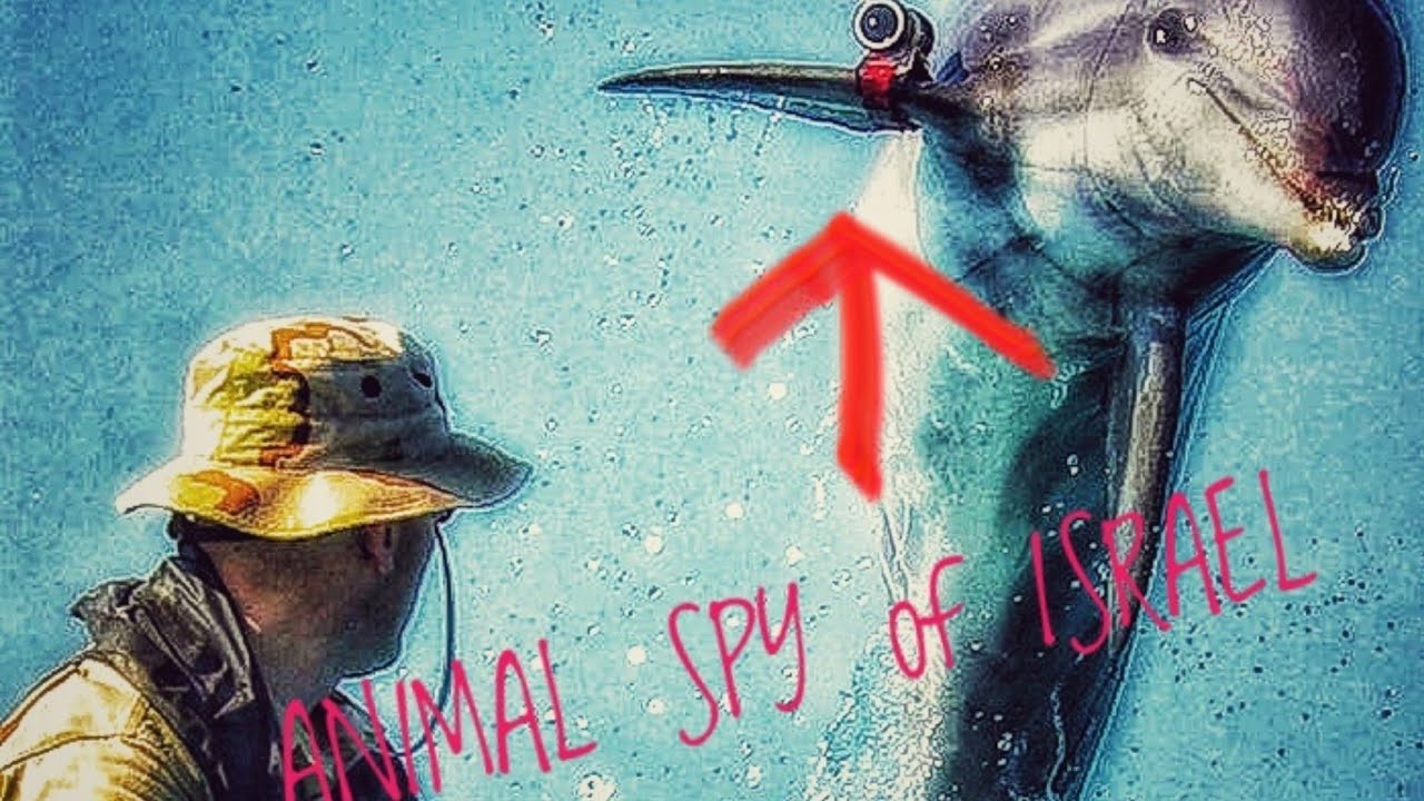 Israel animal spy .conspiracy theories. Is it True? - YouTube