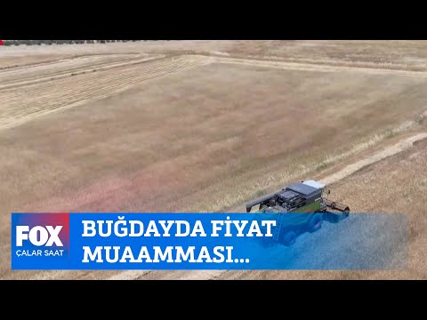 Buğdayda fiyat muaamması... 3 Haziran 2022 İsmail Küçükkaya ile Çalar Saat