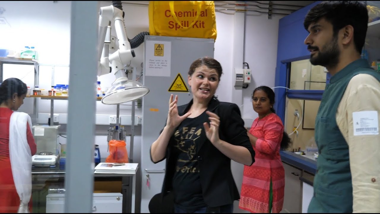 How insects identify objects | Sci-Live | Episode 2 - YouTube