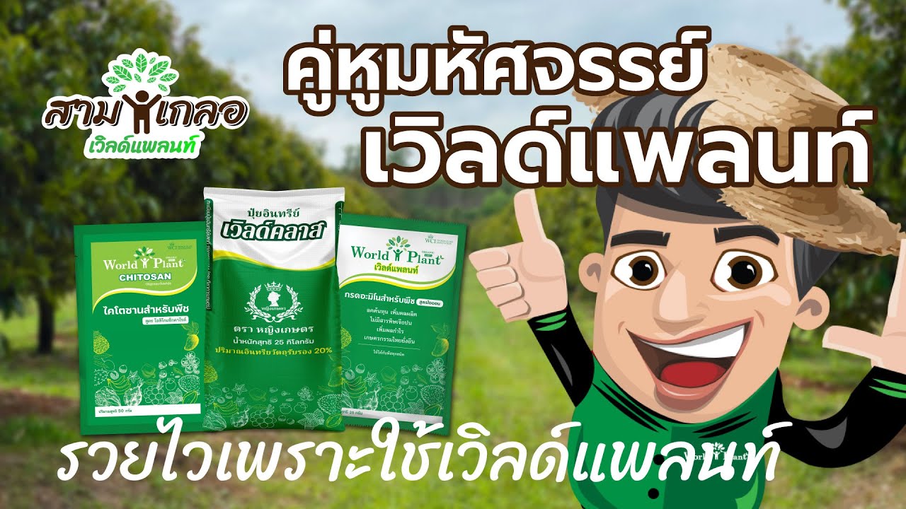 WCI WORLD PLANT เวิลด์แพลนท์ - เกษตรกรยั่งยืน (Official Lyric Video ...