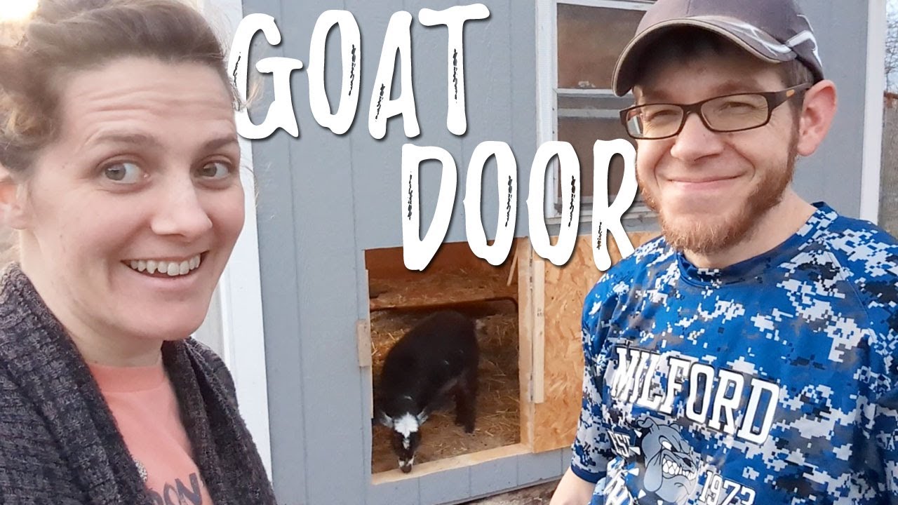 Homestead Hack: Installing a GOAT DOOR to keep rain out of the barn ...