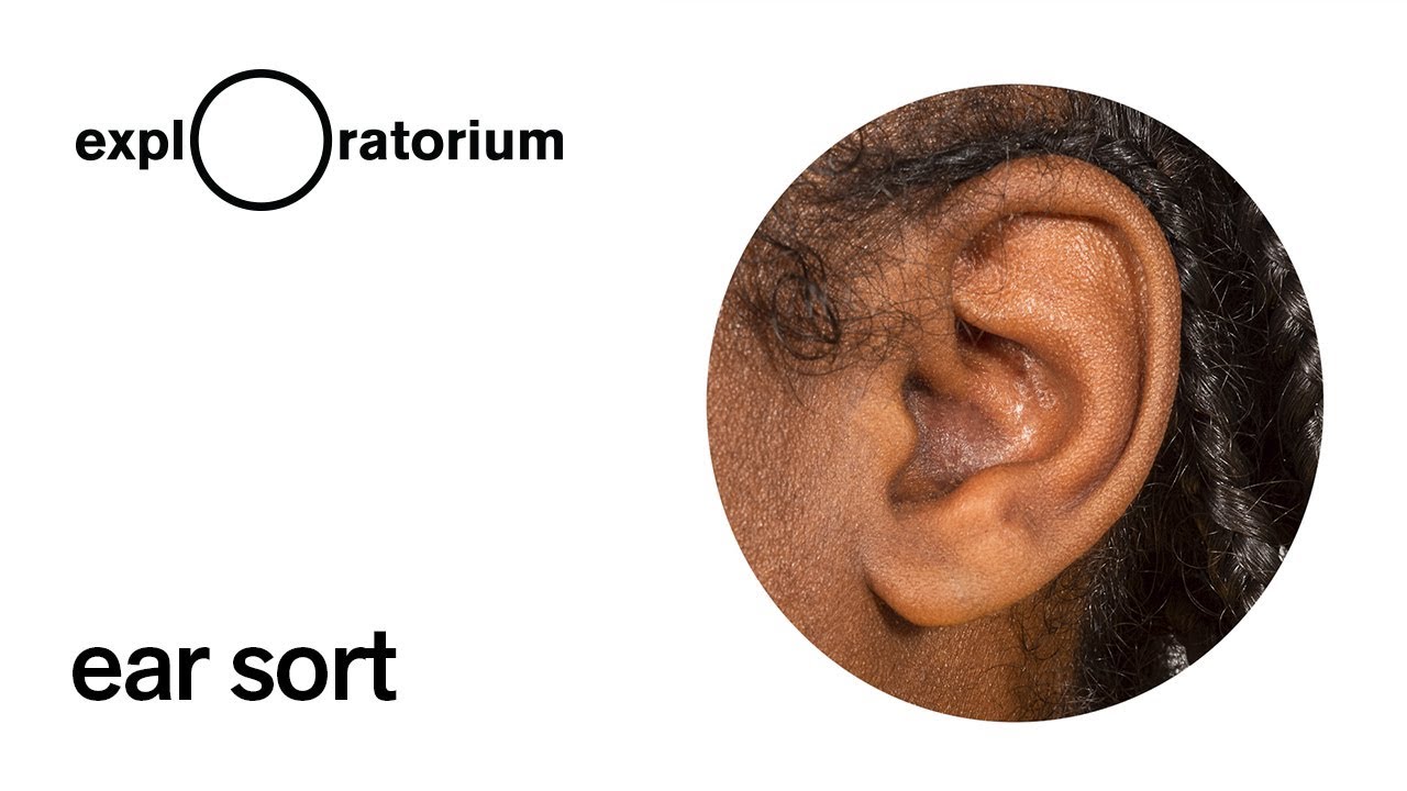 Ear Sort - Science Snack Activity - YouTube