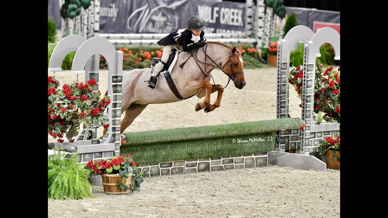 Picturesque Knick Knack - Capital Challenge - Small Pony Hunter - 81 ...