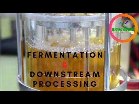 Class-12th Fermenters (Bioreactors), fermentation, Downstream ...