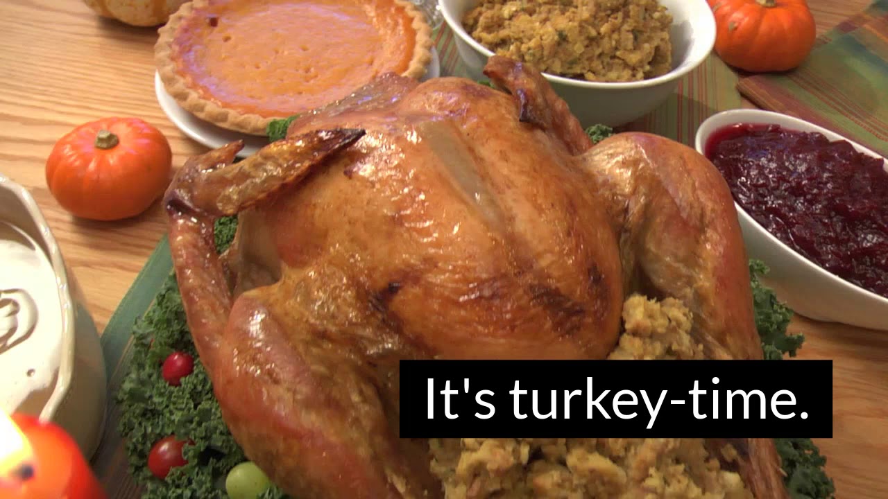 Happy Thanksgiving: Get Your Fat Pants Ready! - YouTube
