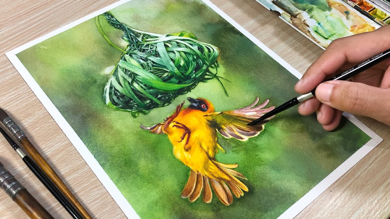 Bird Build Nest in Watercolor Painting - YouTube