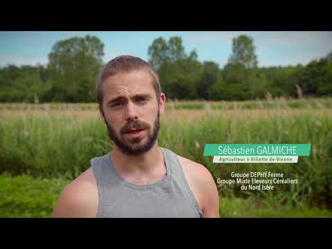 Comment baisser l'apport d'intrants grâce à la culture de lentilles ?
