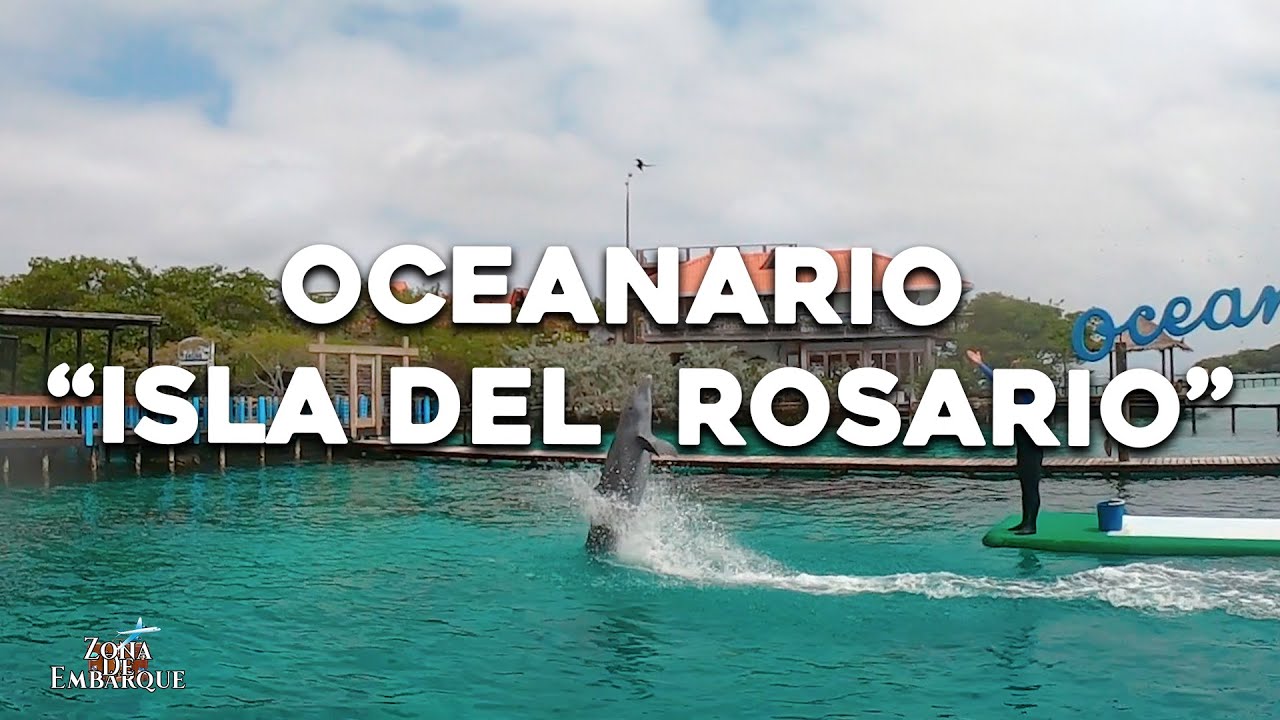 Mi primera experiencia con delfines | Oceanario "Isla del rosario" *Lo ...