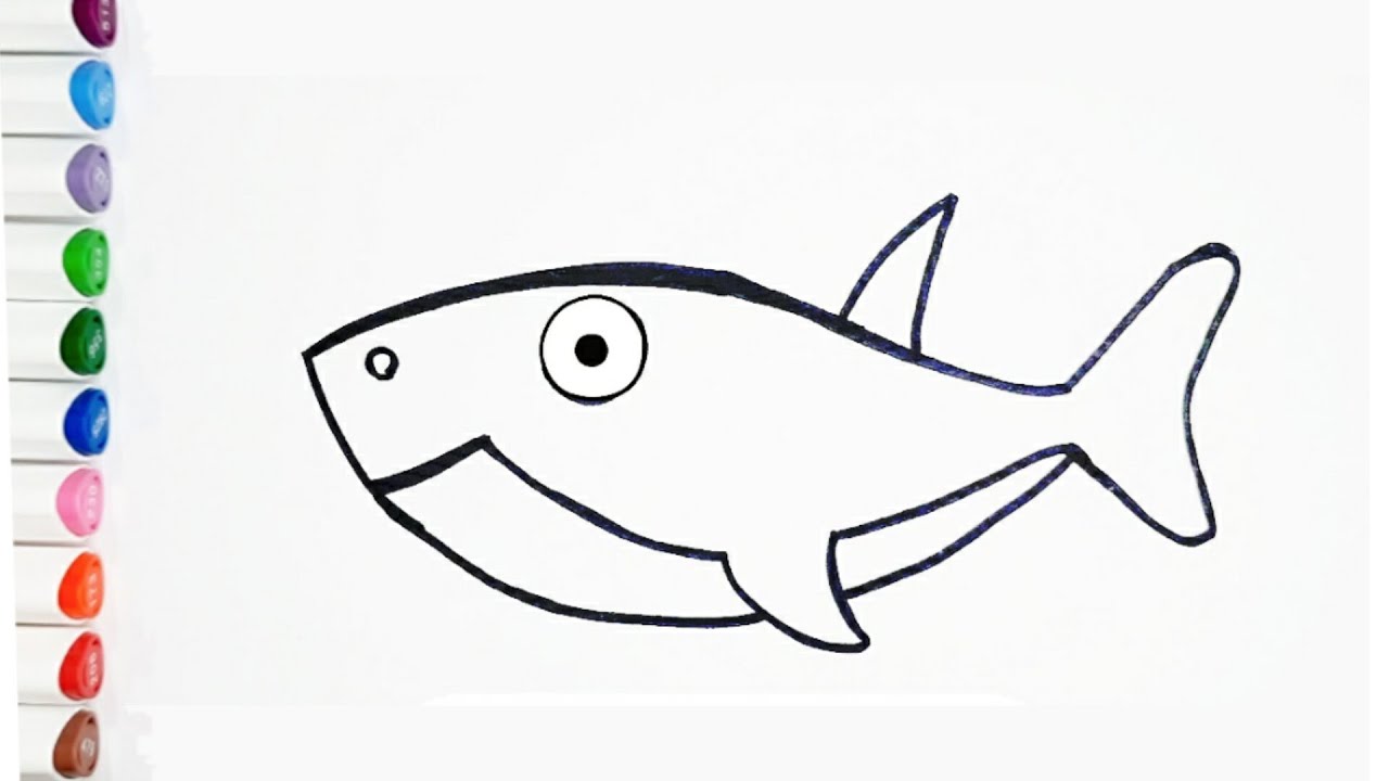 How to draw a beautiful shark?/Draw a beautiful shark step by step ...