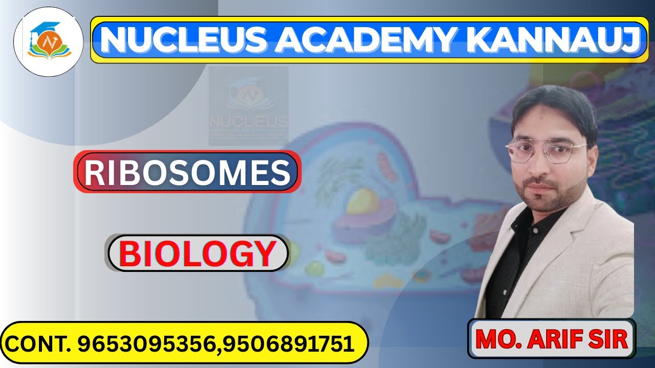 Ribosomes | Cell | Biology | Arif Sir - YouTube