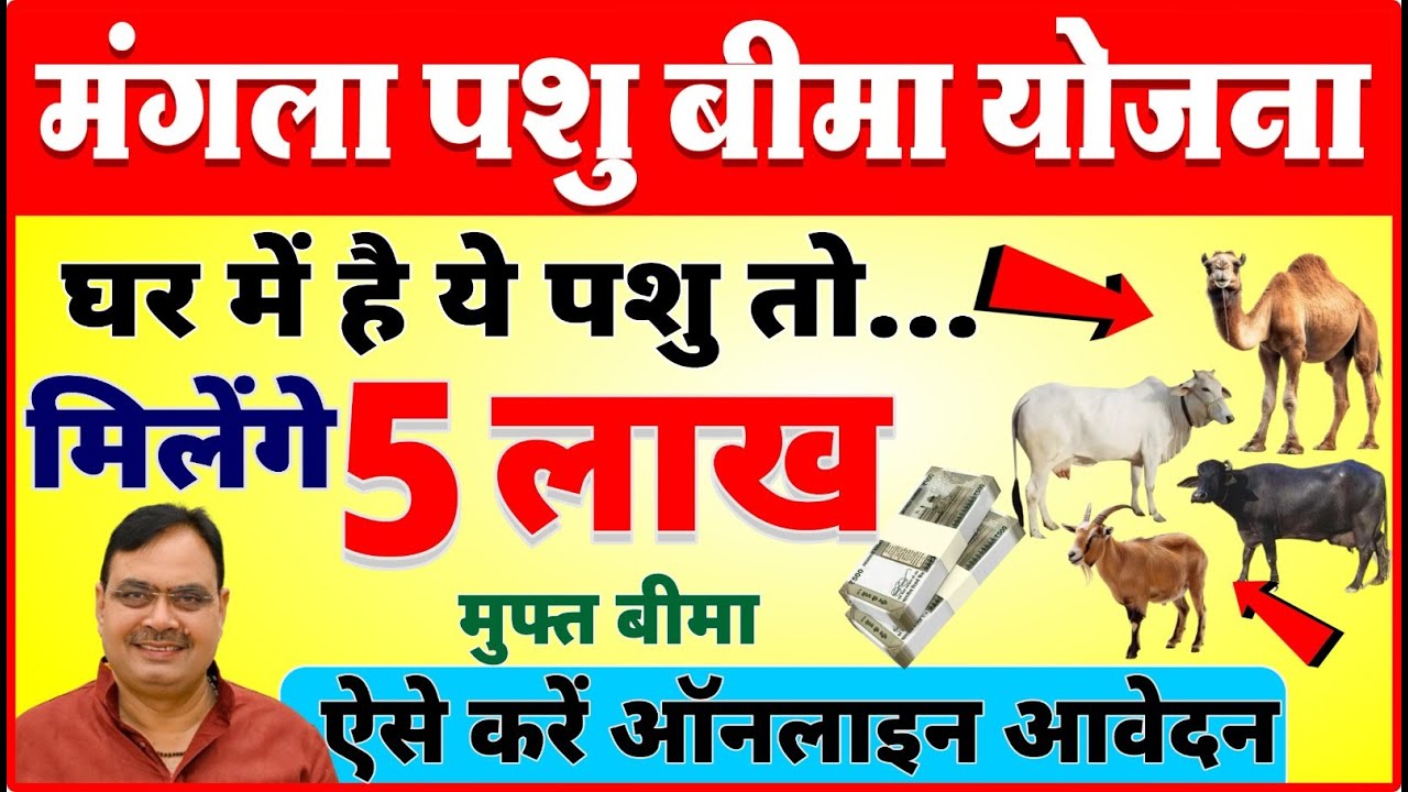 Rajasthan Mangla Pashu Bima Yojana मुख्यमंत्री मंगला पशु बीमा Last Date ...