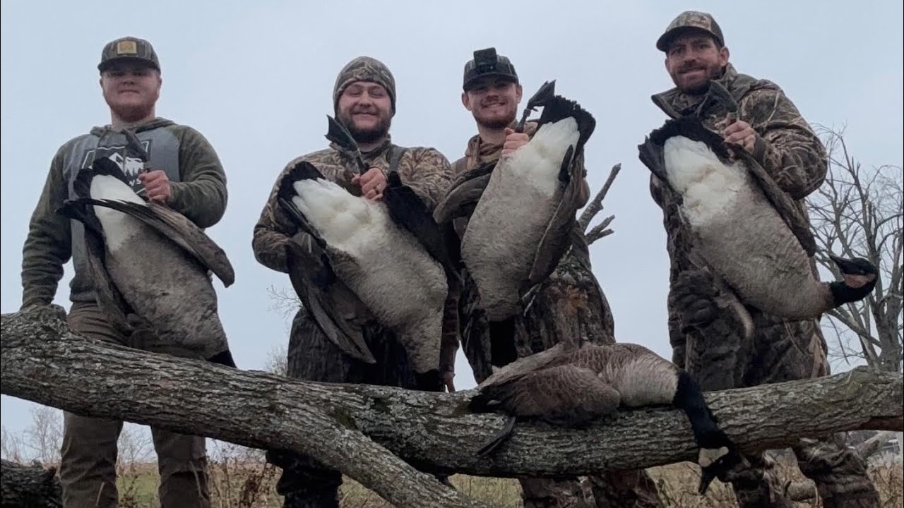 Epic late season goose hunt 5 geese 4 bands - YouTube