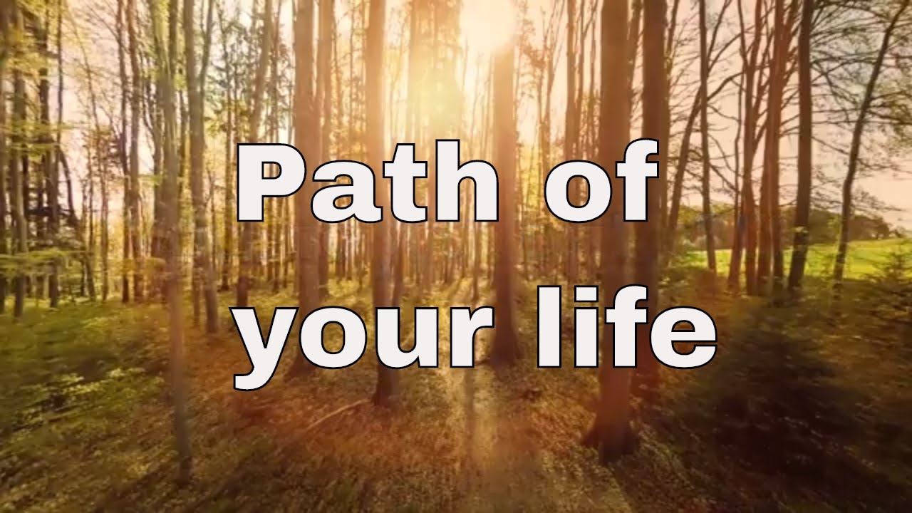 The path of your life - YouTube
