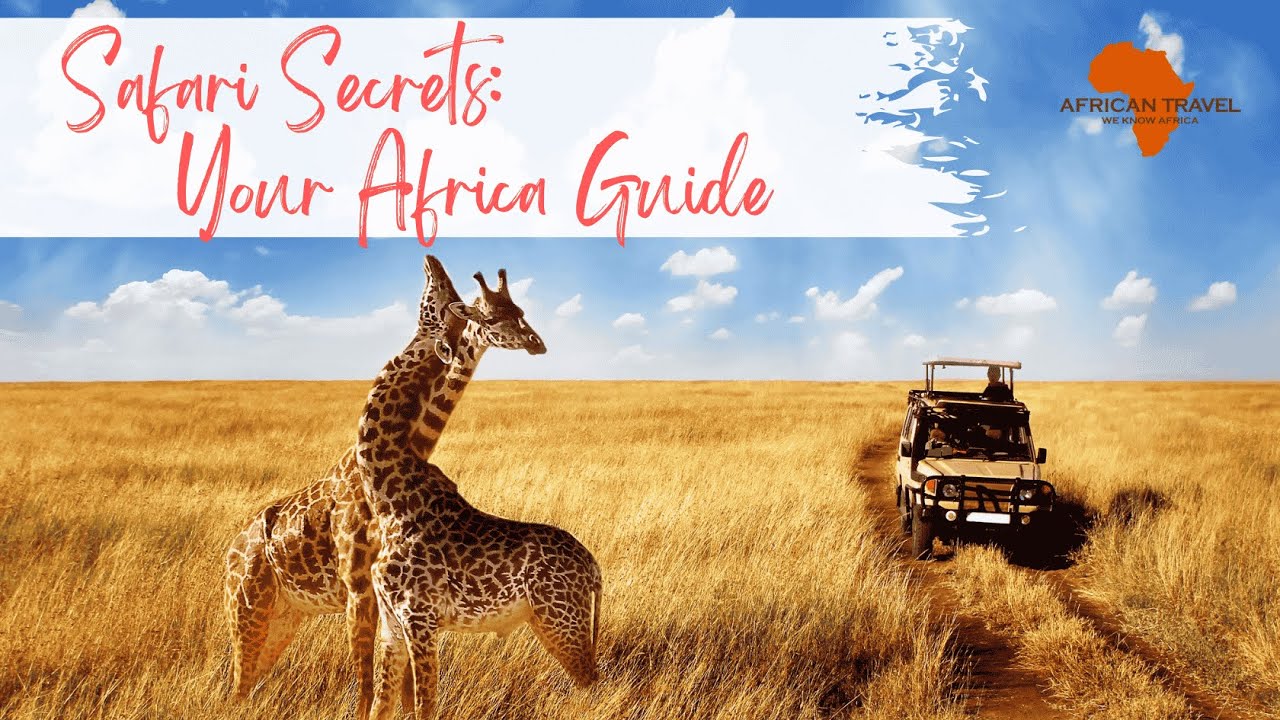 Bursch Travel Virtual Safari with African Travel - YouTube