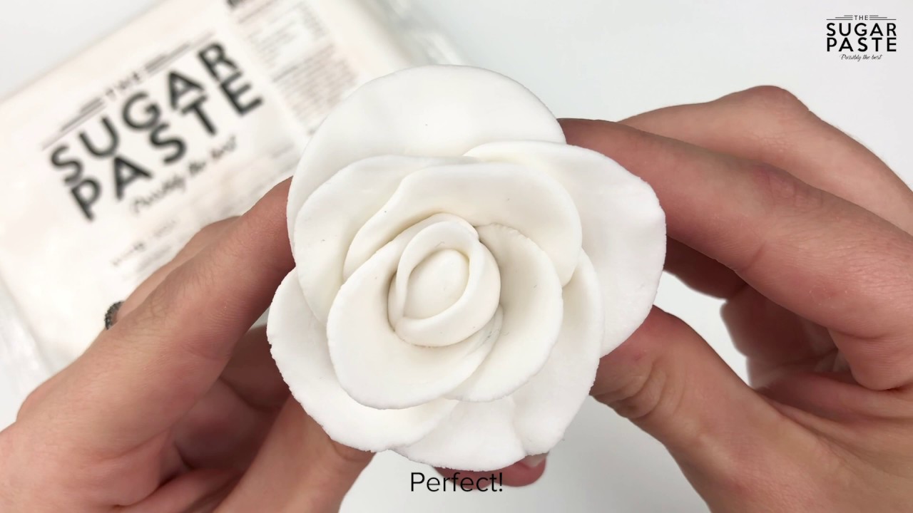 Can You Make A Flower With THE SUGAR PASTE YouTube can-you-make-a-flower-with-the-sugar-paste-youtube