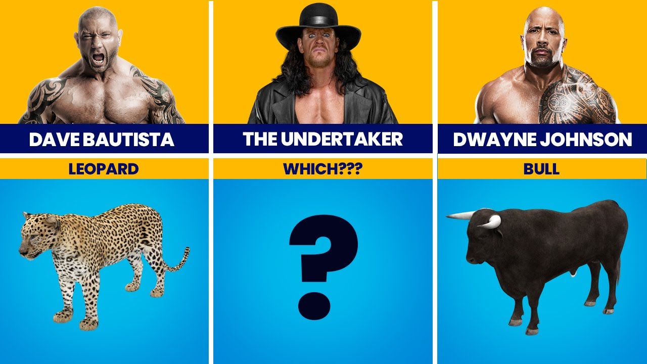 WWE Superstars and Their Look Alike Animals | WWE Superstars Comparison ...