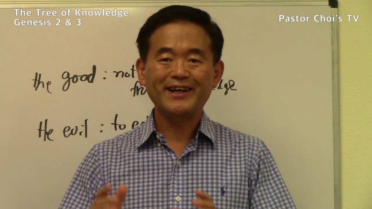 Tree of Knowledge; Genesis 2&3 The Clear and Certain Word of God (3 ...