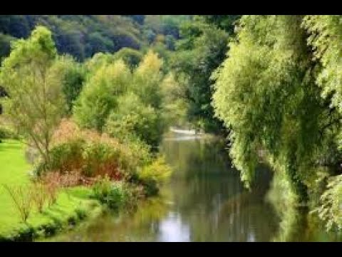 Floating Leaves Meditation - YouTube