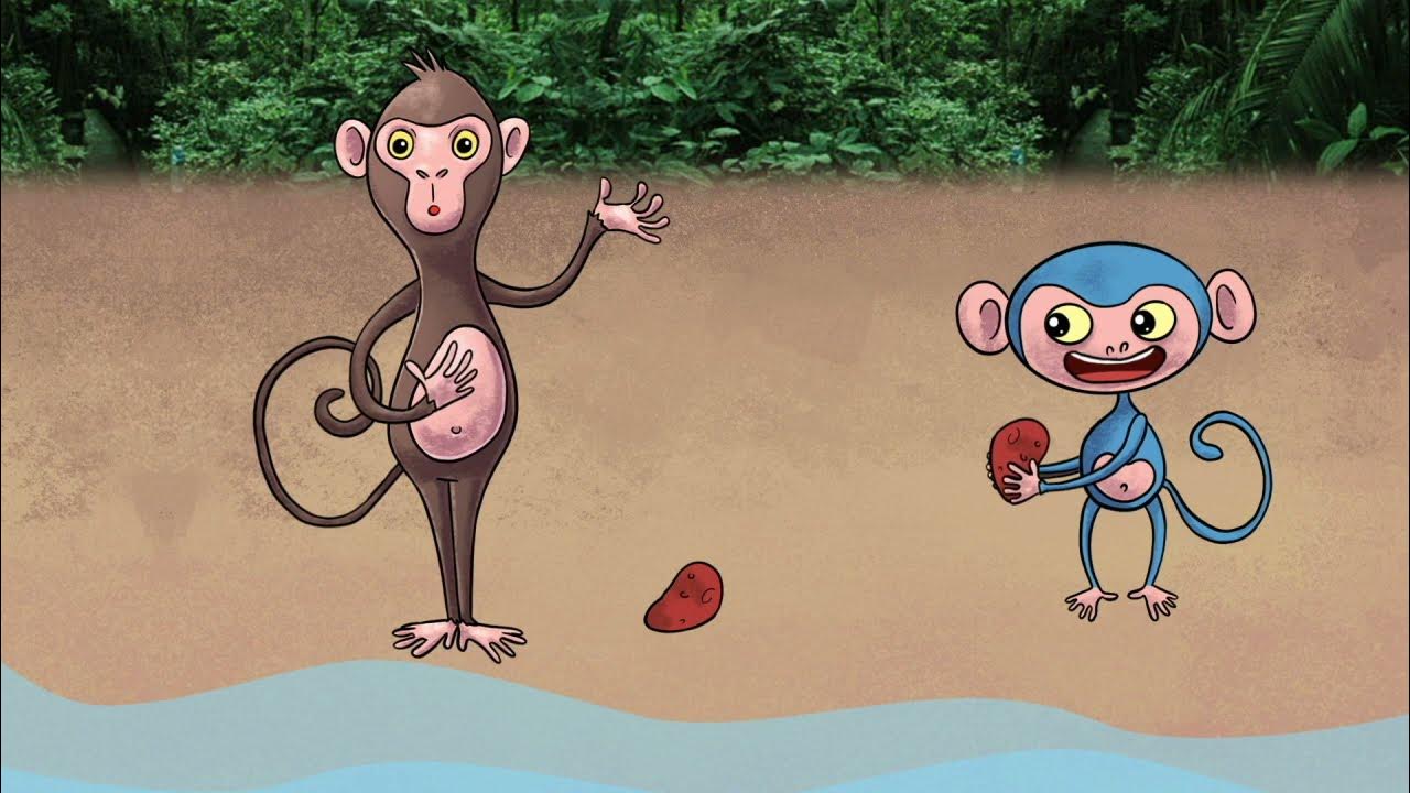 Chi é IMO? Scopri la storia della Centesima Scimmia - YouTube