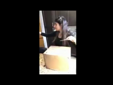 Mia Khalifa Live Youtube Stream