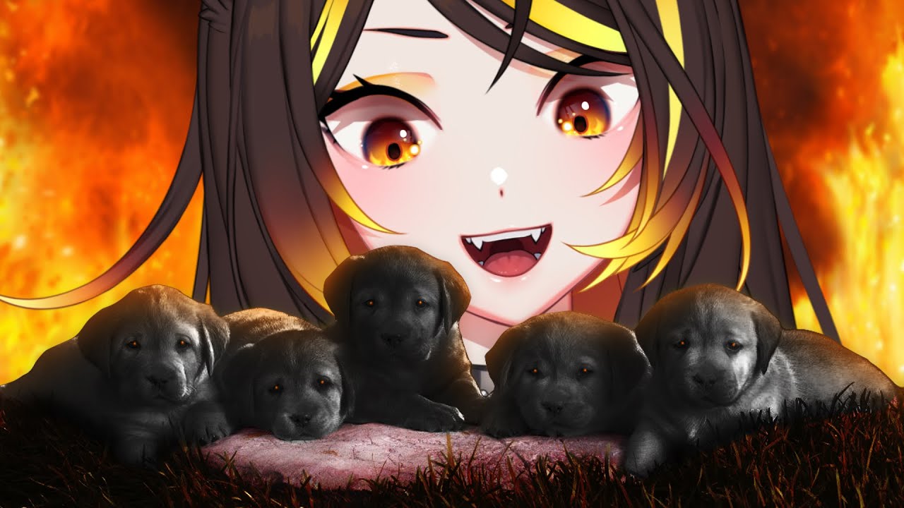 Sinder Meets The Council... 🔥 - YouTube