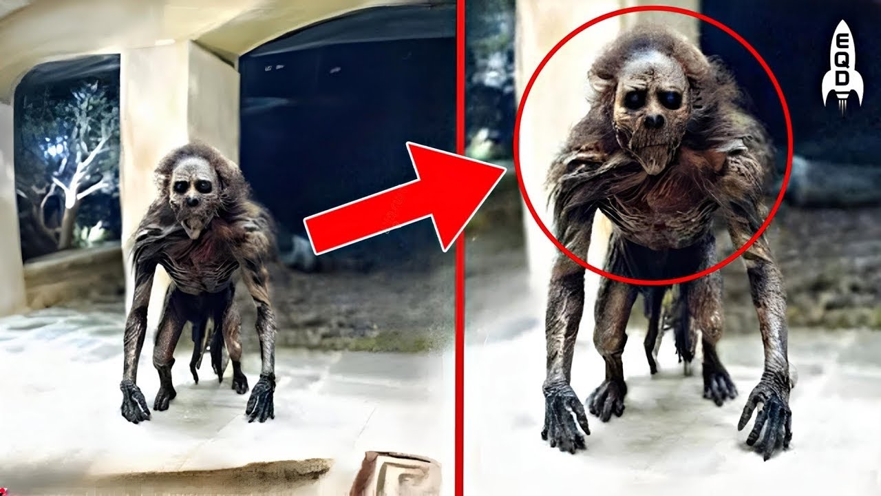 No Todos Tienen Valor Para Ver Estos Videos de TERROR REAL para NO ...