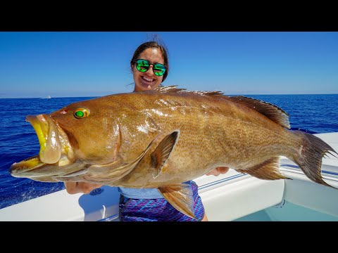 GIANT RARE GROUPER! Catch, Clean, Cook! Panama City, Florida - YouTube