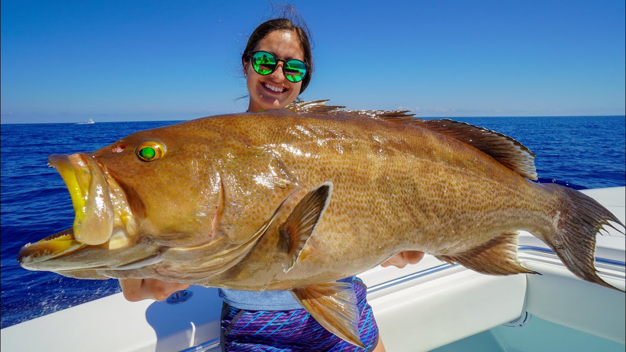 GIANT RARE GROUPER! Catch, Clean, Cook! Panama City, Florida - YouTube