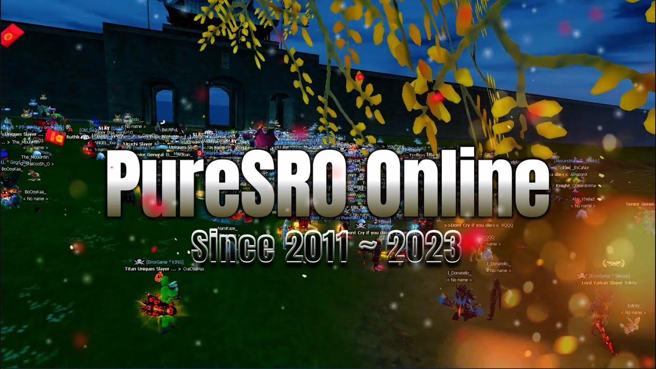 #PureSRO Online #silkroad , Start Your New Year 2023 ! 🥰 - YouTube