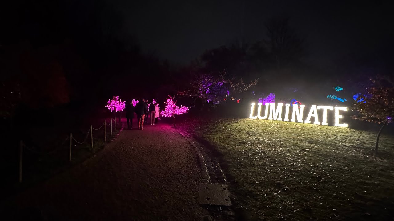 Luminate lichtfestival 2025 - YouTube