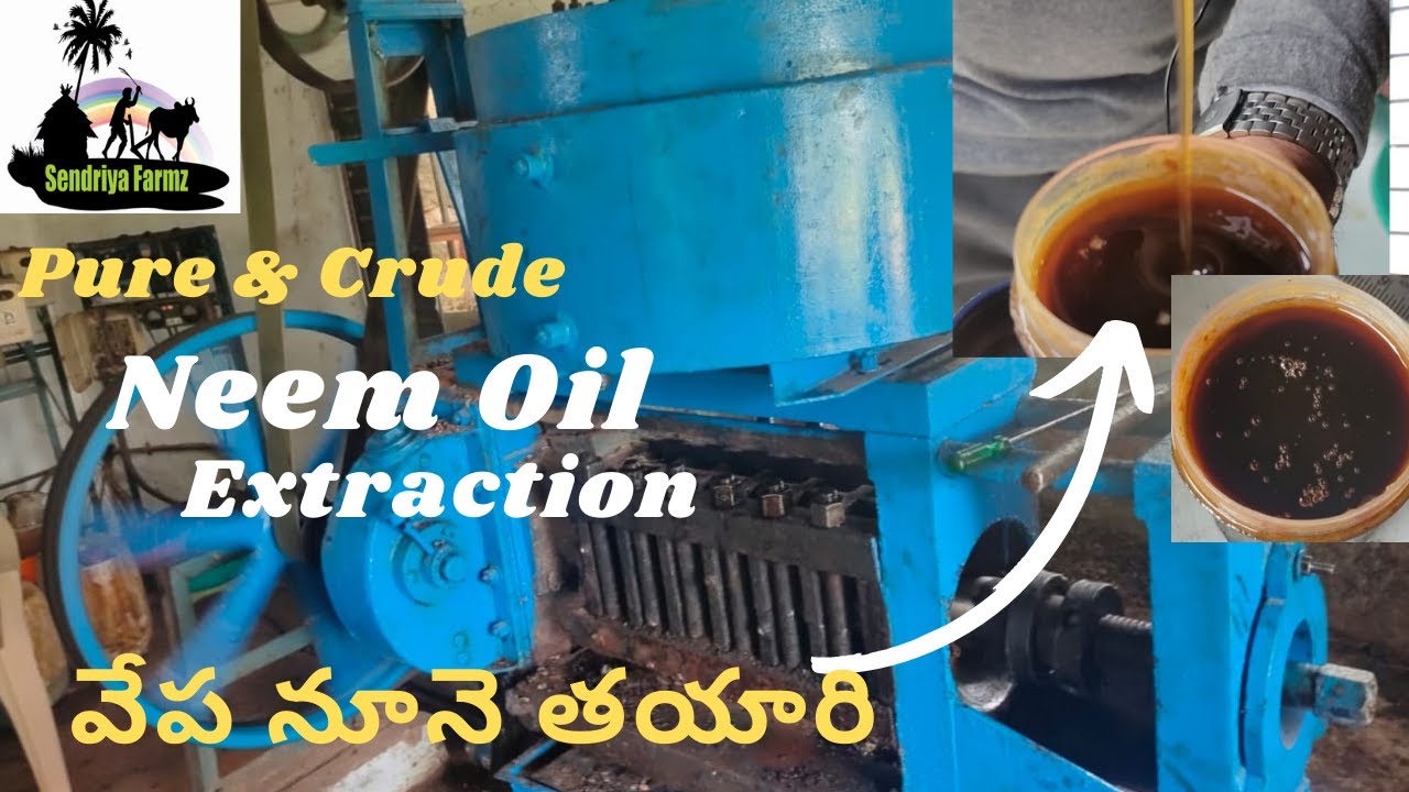 NEEM Oil Extraction! స్వచ్ఛమైన వేప నూనె తయారీ విధానము ! - How to ...
