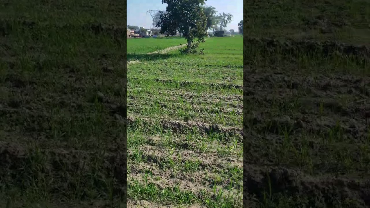 mangla hamlet - YouTube