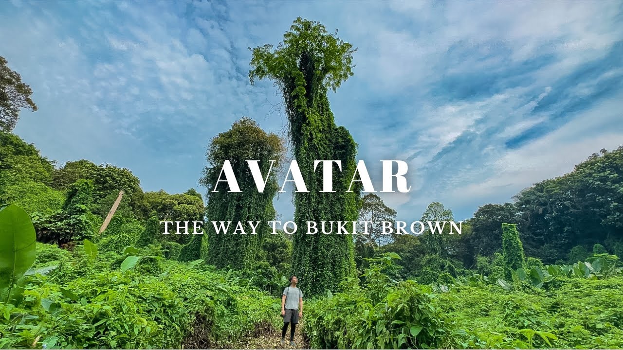 SINGAPORE PARKS - Bukit Brown Cemetery, Singapore | The Way to Avatar ...