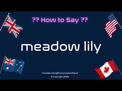 🌸🌼 How to Pronounce meadow lily? (CORRECTLY) | Pronunciation Planet