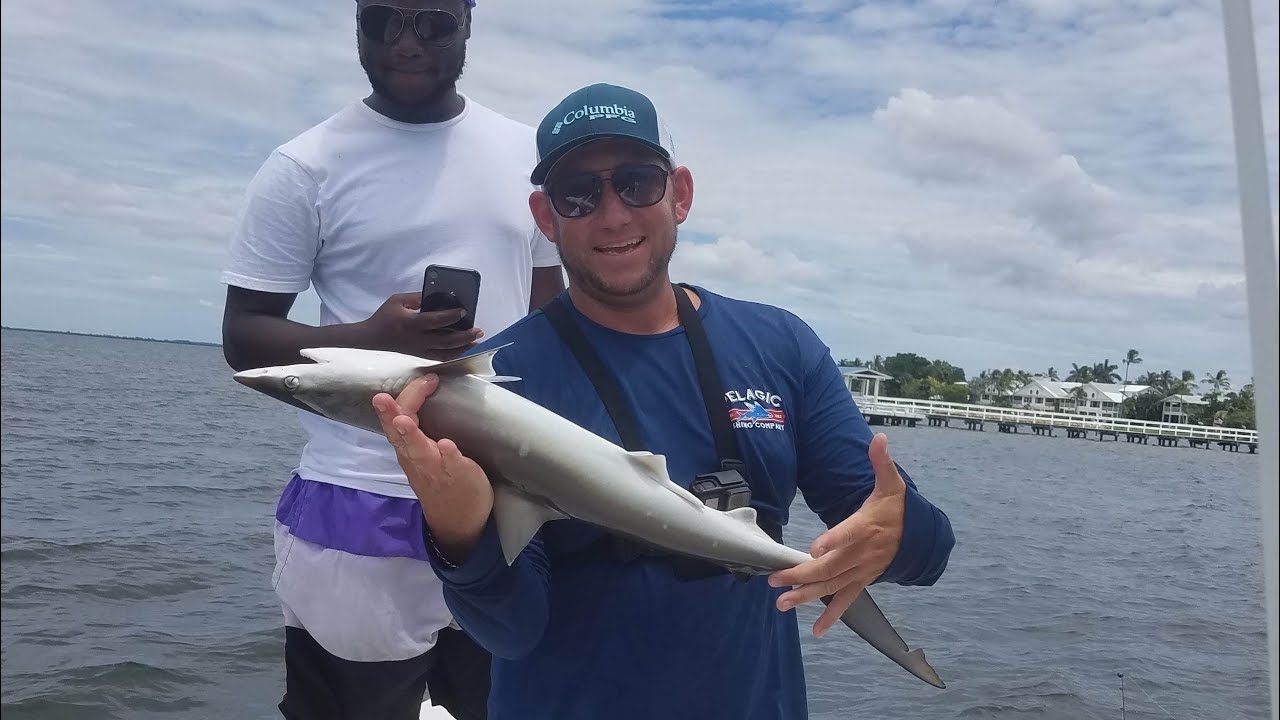 Multiple species caught including Shark & Alligator Gar - YouTube