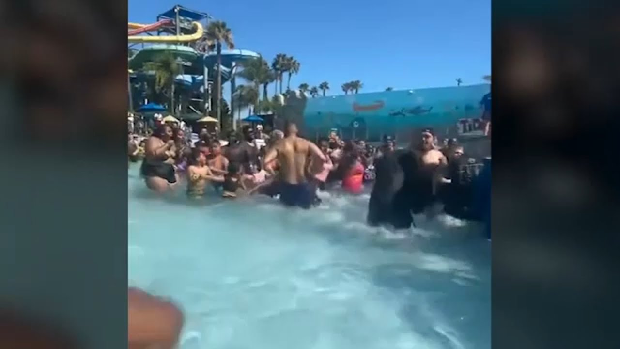 Fight breaks out in wave pool at Knott's Soak City on 4th of July - YouTube