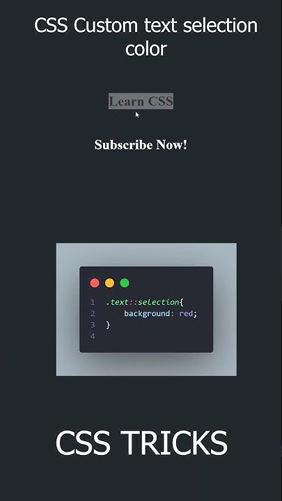 Css Trick Custom Text Selection Color Shorts Css Learncss Cssforbeginners Youtube 