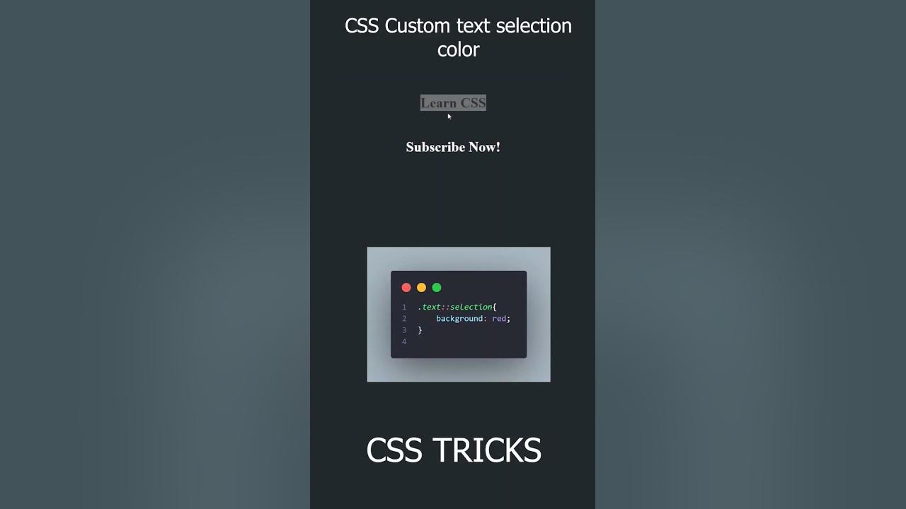 Css Trick Custom Text Selection Color Shorts Css Learncss Cssforbeginners Youtube 